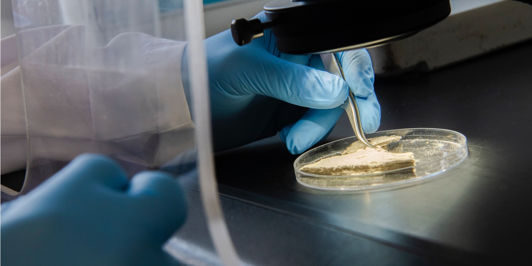 Sample Testing - Airsafe