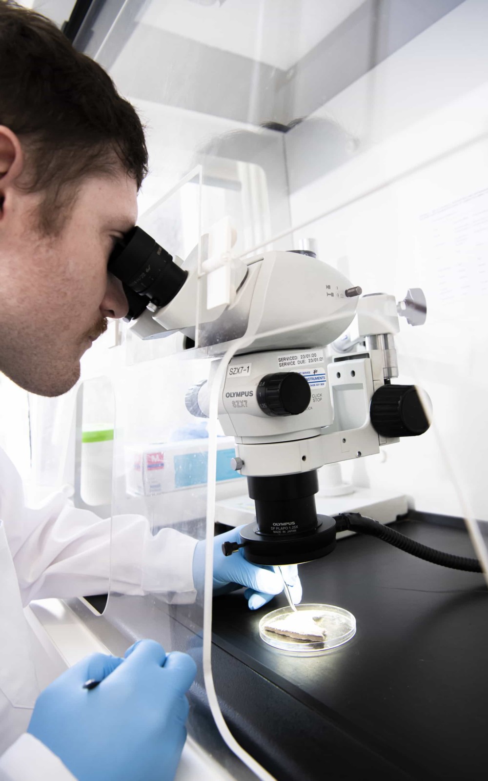 Sample Testing - Airsafe