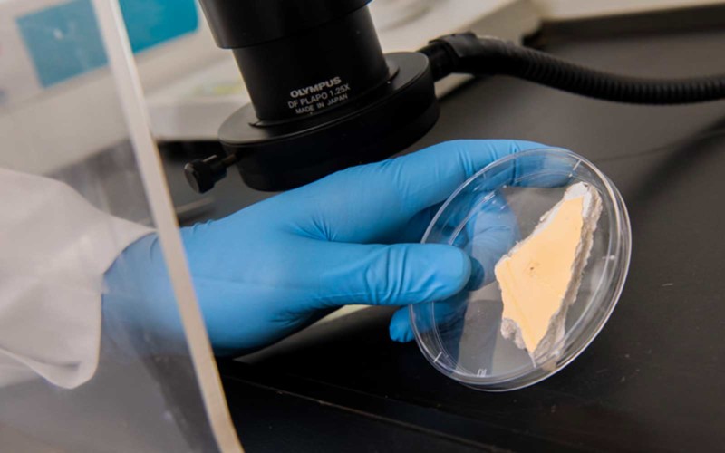 Sample Testing - Airsafe