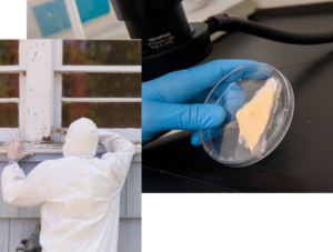 Lead Paint Testing Brisbane | Lead Identification & Tests - AirSafe